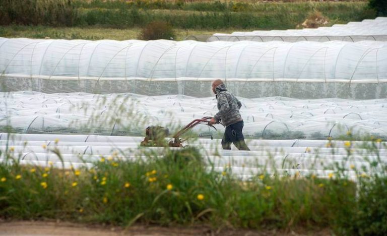 Il-PN negattiv u jrid l-istatus quo fis-settur tal-agrikoltura b ...