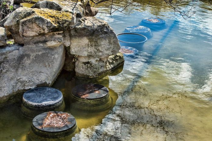 Il-Ġnien taċ-Ċiniżi qiegħed jiddeterjora - talk.mt