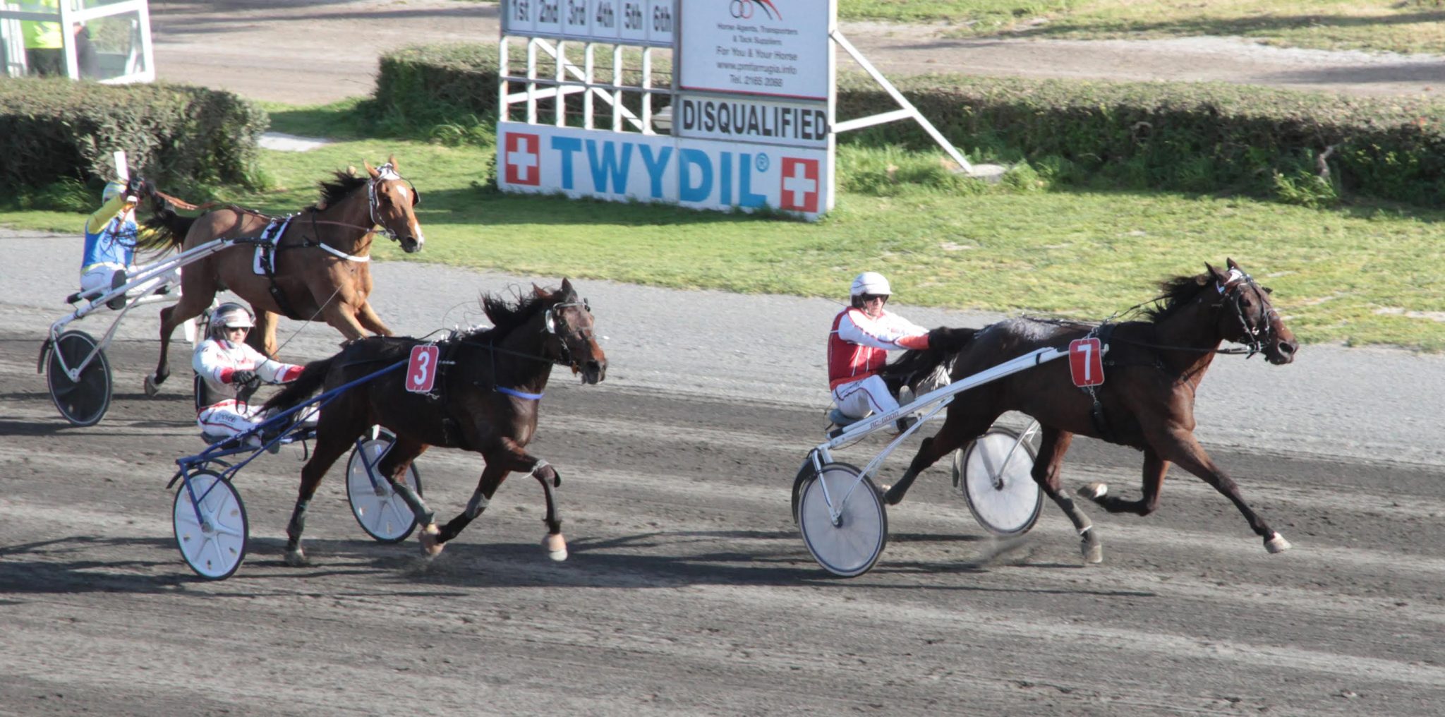 It-tielet rebħa nfila għal Akela Play fil-finali Gold - talk.mt