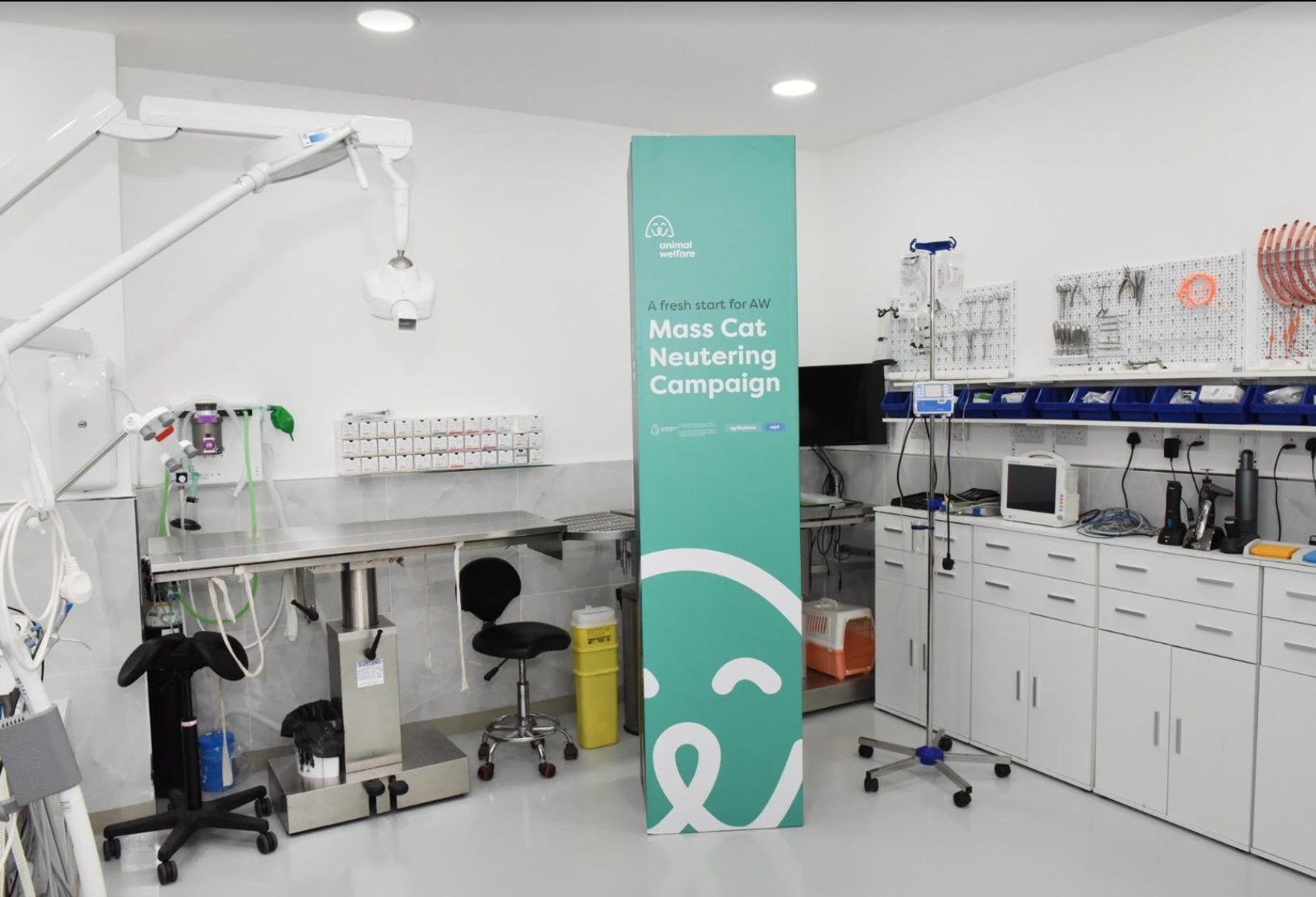 Imnedija kampanja nazzjonali għan-neutering tal-qtates - talk.mt Imnedija kampanja nazzjonali għan-neutering tal-qtates - talk.mt