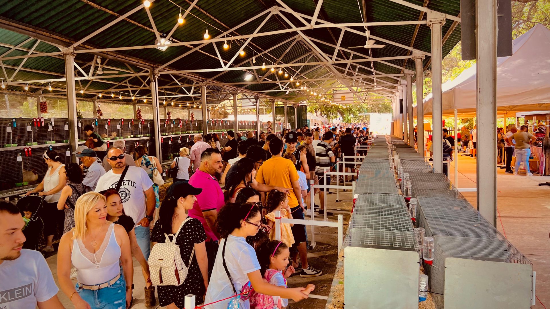 Il-festa tal-Imnarja magħna - talk.mt