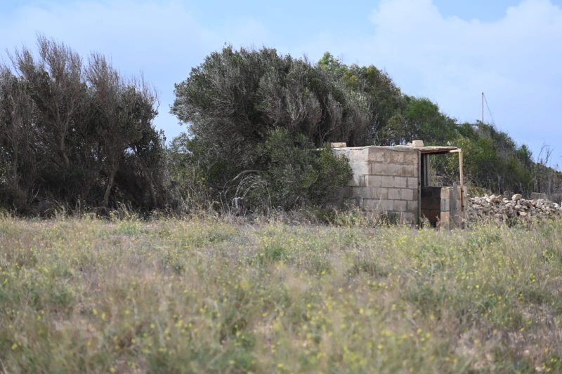 'Rebħa pirrika’….il-KE tilfet l-argumentazzjoni kollha kontra l-insib ...