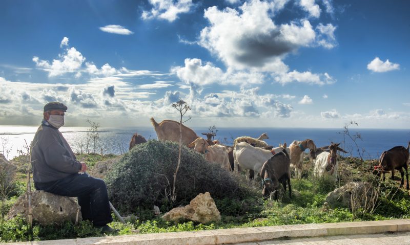 Ġużu Muscat magħruf bħala tal-Beżuża se jingħata l-aħħar tislima għada ...