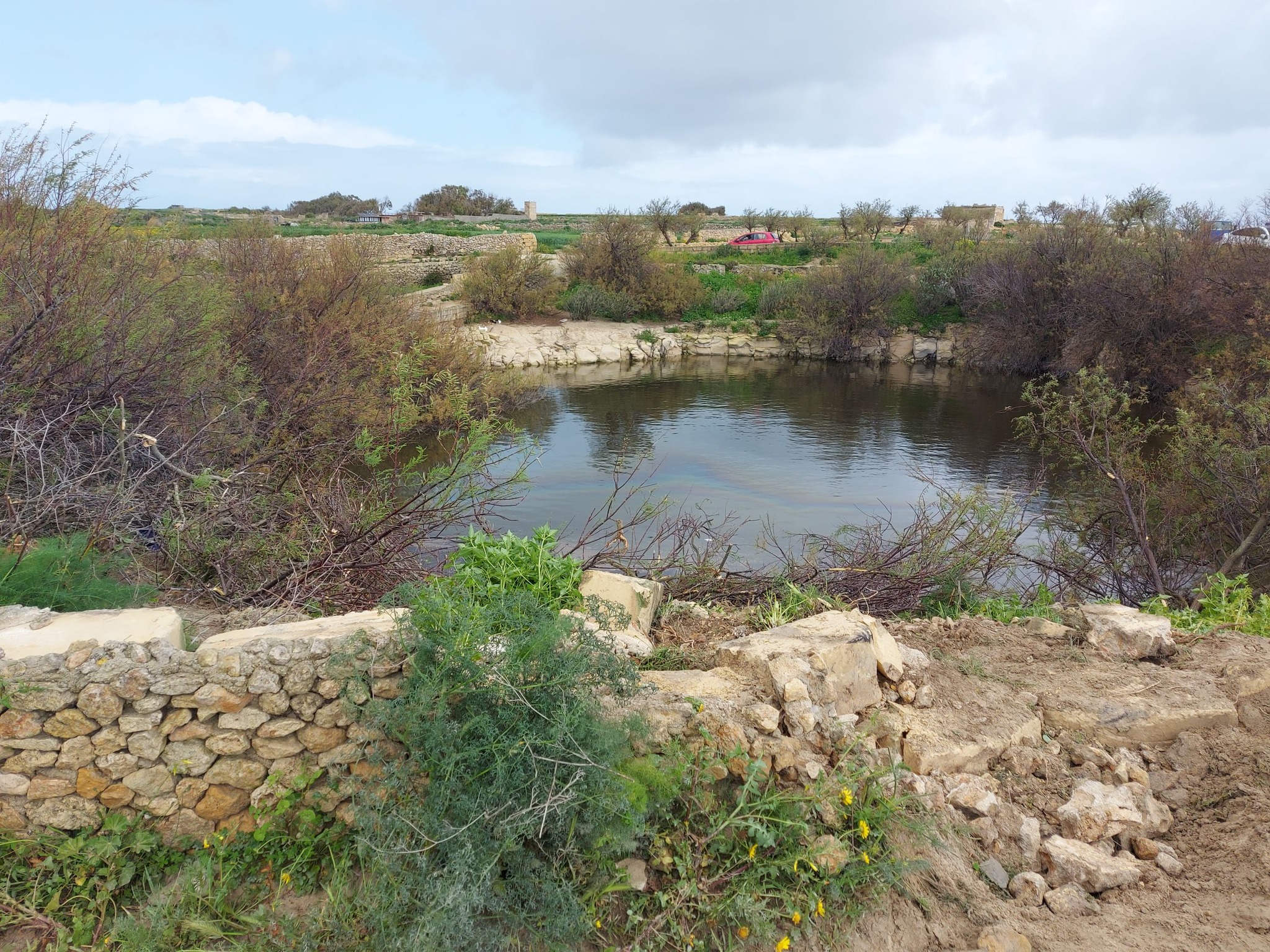 Operazzjoni delikata ħafna biex jitella’ trakk li waqa’ u għereq fl-Għadira ta’ San Raflu f ...